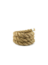 2in Manilla Rope (10 ft.)